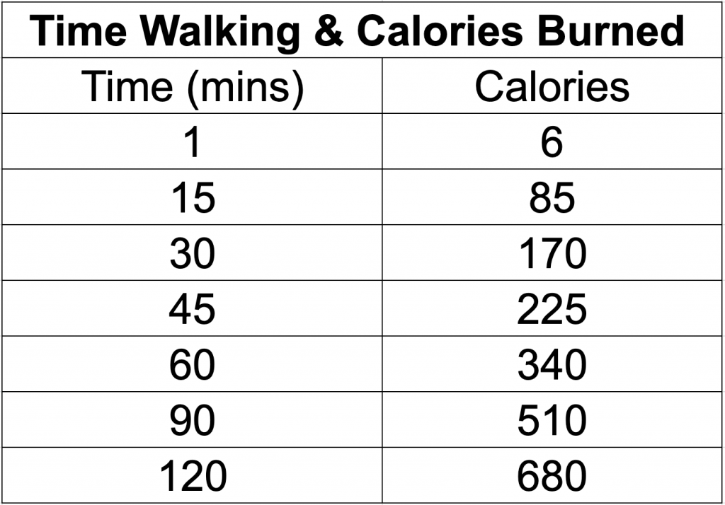 How to Burn 500 Calories a Day Walking | Fit Active Living